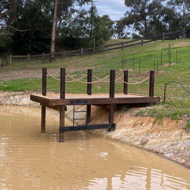 Spotted Gum Posts 150 x 150mm - Rustic World Timbers