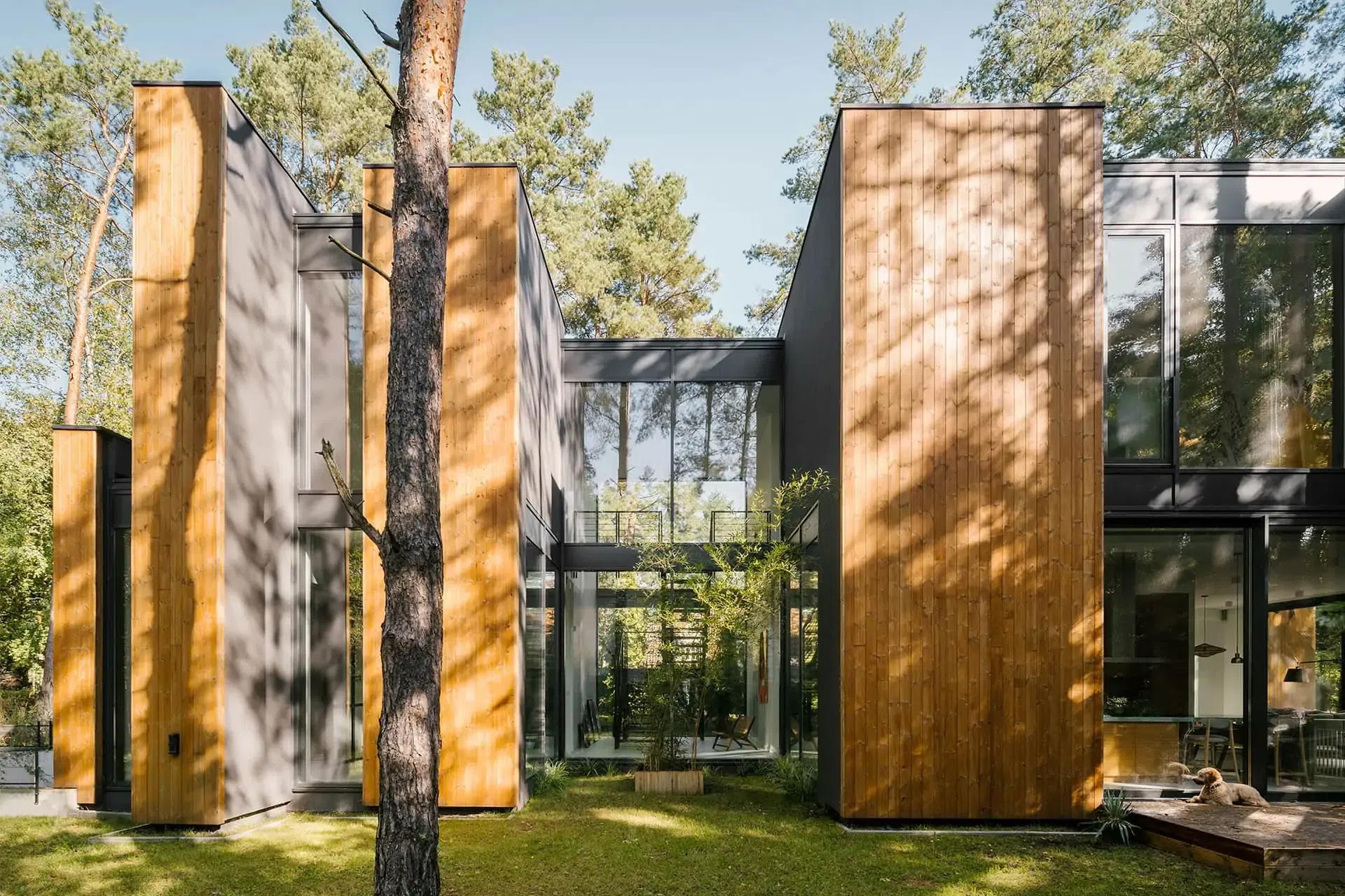 Thermory® Pine (Intense) CLAD65 - Natural - Rustic World Timbers